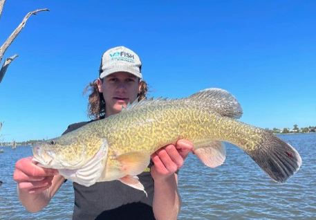 Care for our iconic Murray cod - VRFish